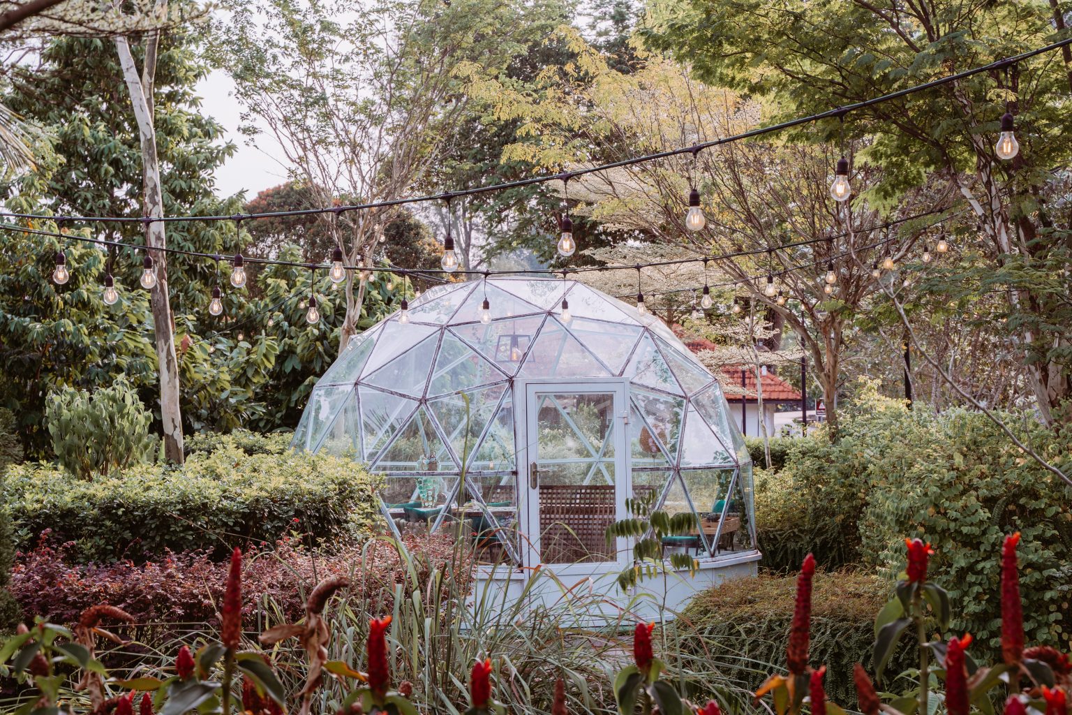 Exclusive Dome Décor Packages for Special Occasions - The Summerhouse