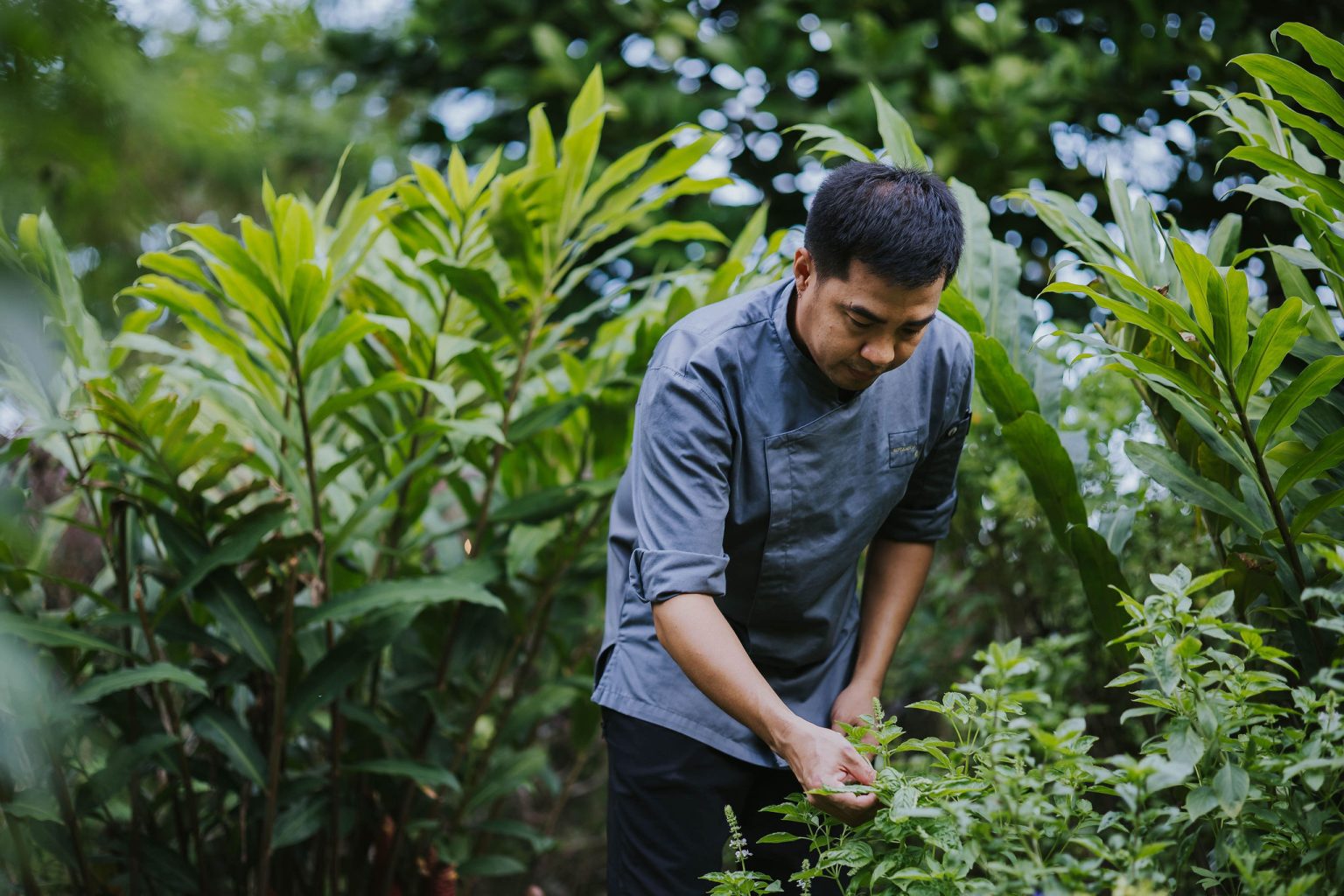 Botanico | Modern European Grill with Asian Flavours